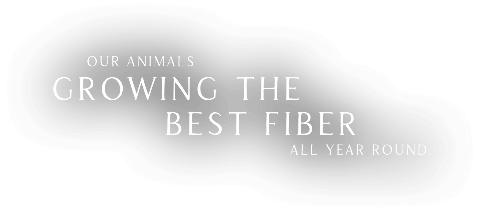 Shop A Fiber Life | Guanaco Fiber, Yarn, and Garments